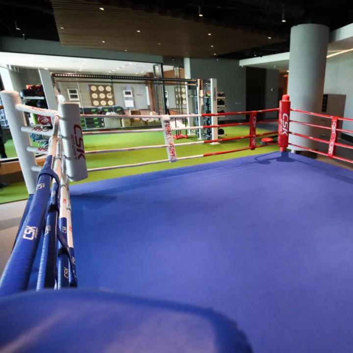 Professional Corner Pad Boxing Ring