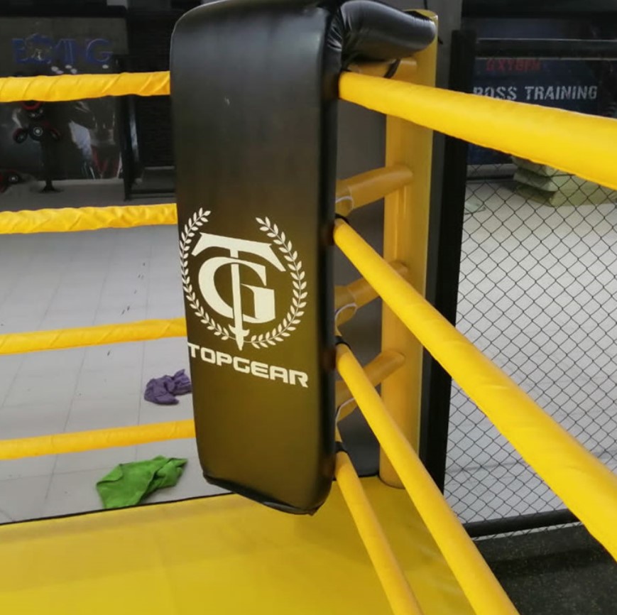 Hot sale European standard size boxing ring